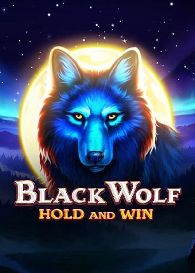 Sector 777 Casino - Official Website